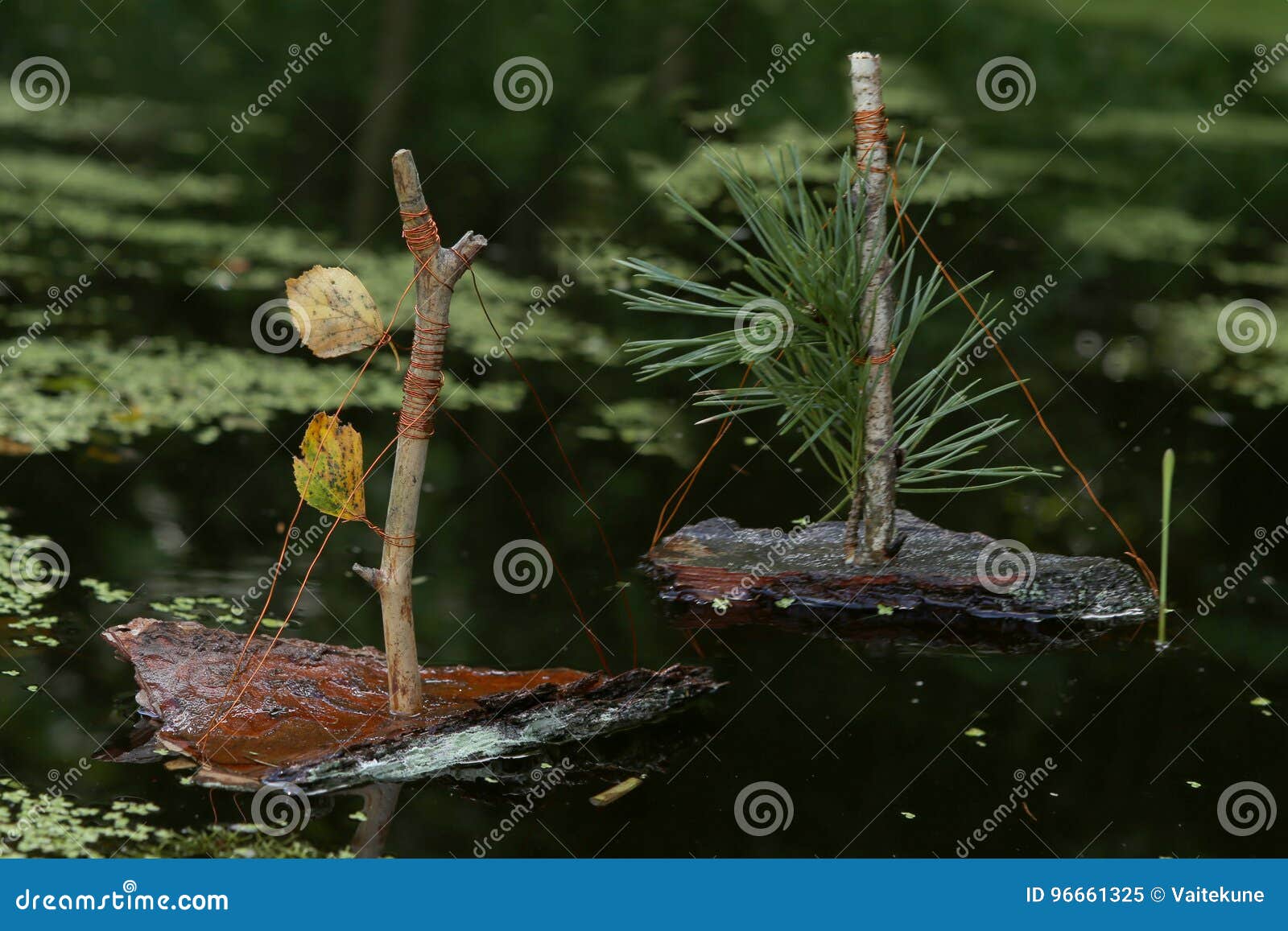 Handmade Boats Made from Tree Bark. Stock Image - Image of boats, craft ...