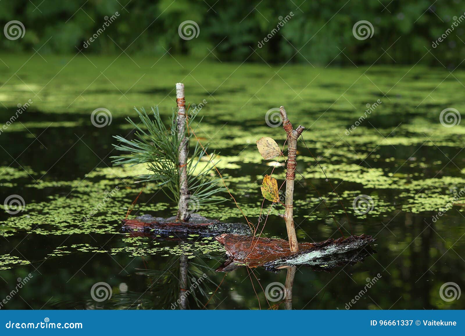 Handmade Boats Made from Tree Bark. Stock Image - Image of leisure ...