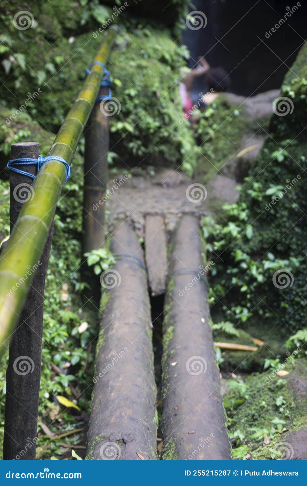 A Handmade Bridge Made of Bamboo. Stock Image - Image of nature, bridge ...