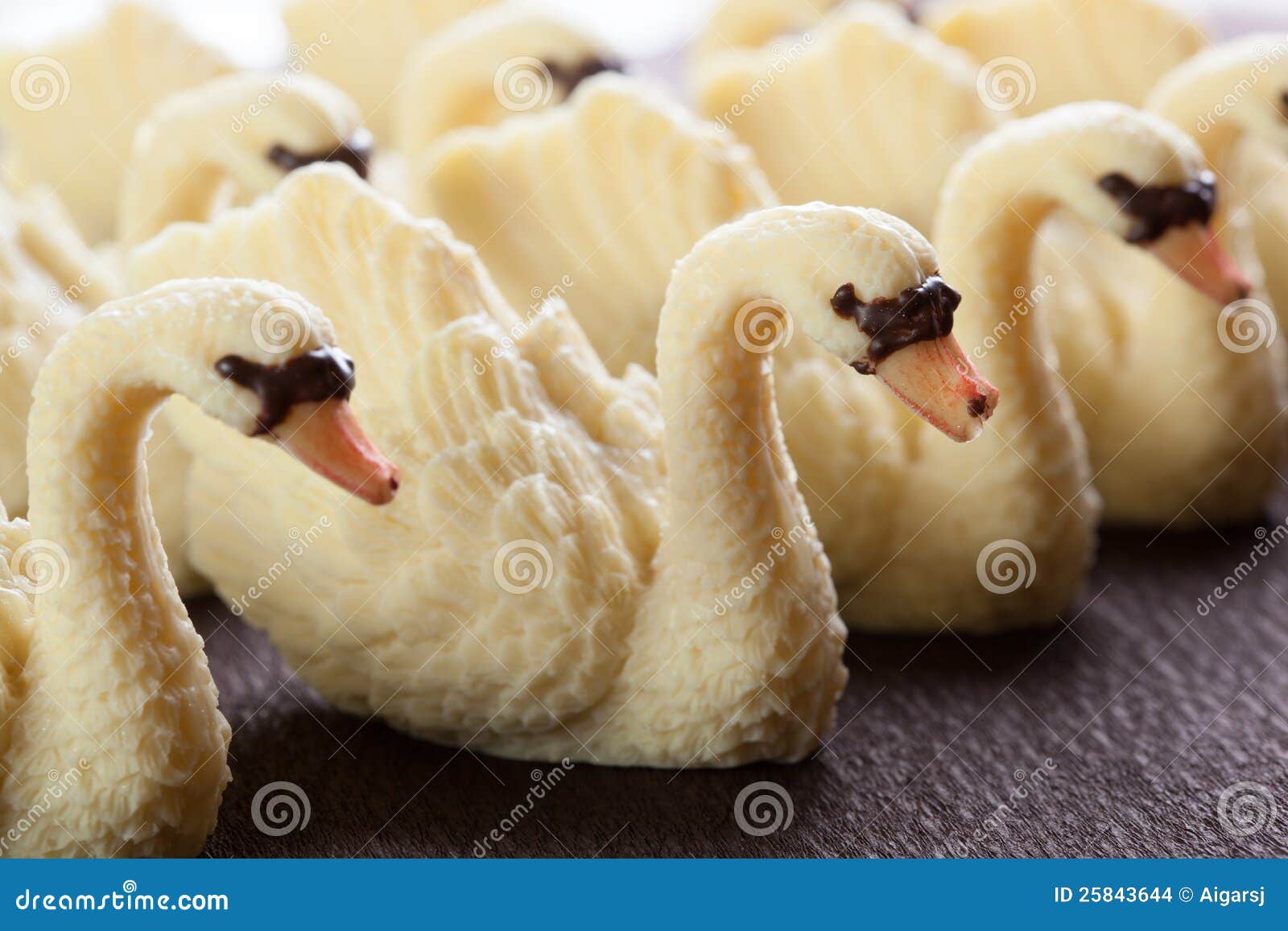 Handmade chocolates swan stock photo. Image of dairy - 25843644