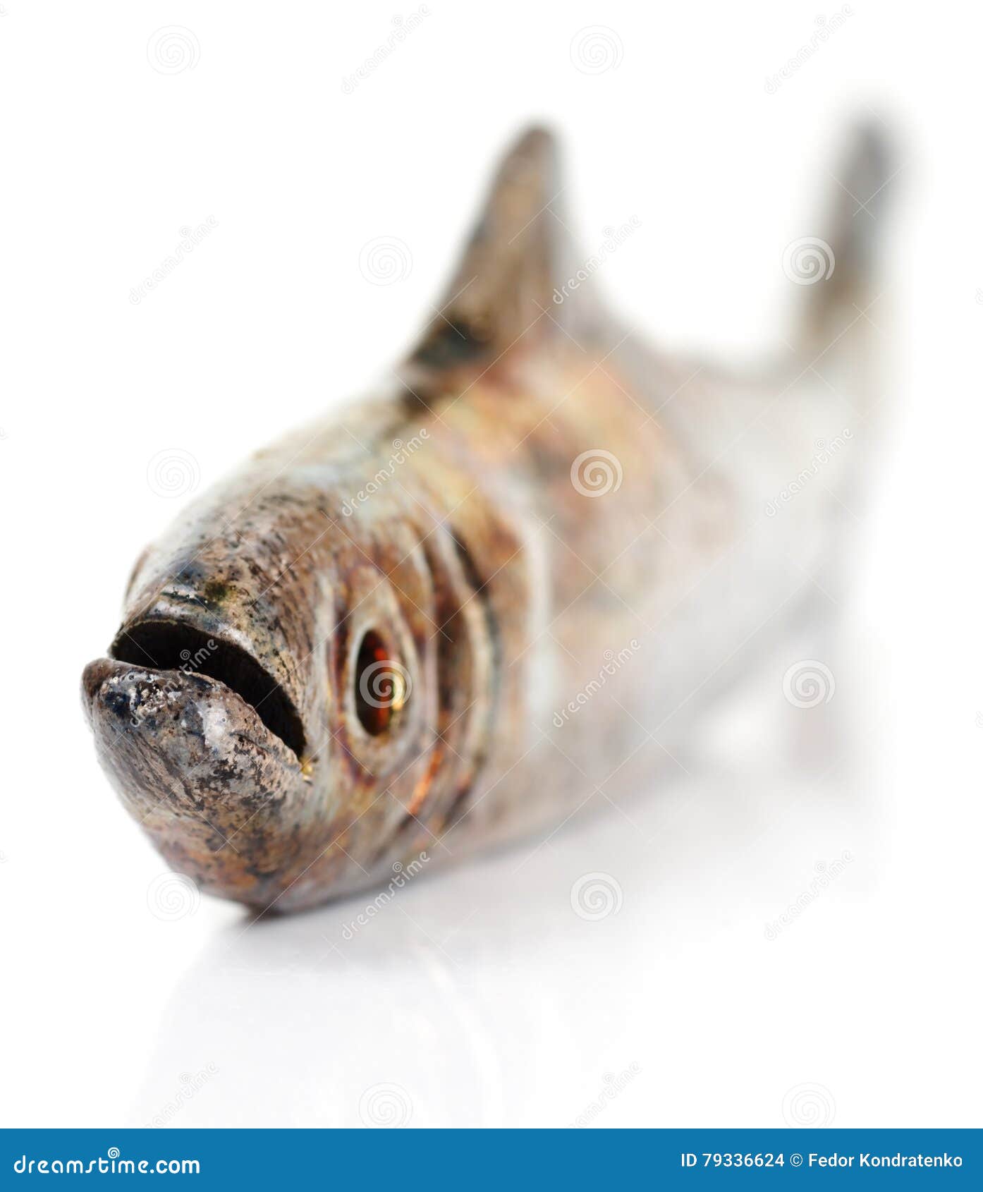 Handmade Clay Fish Isolated on White Stock Photo - Image of single ...