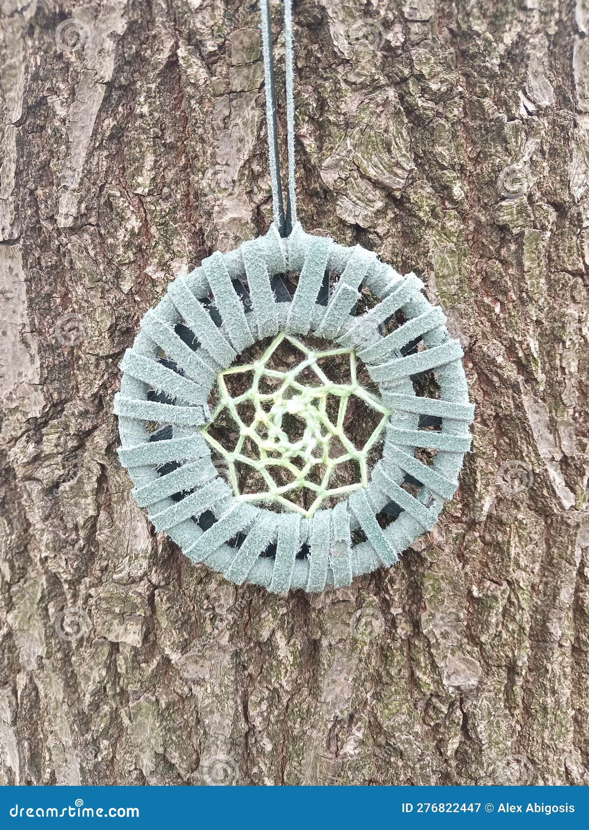 Handmade First Nations Dreamcatcher Hanging on a Tree Trunk Outside ...