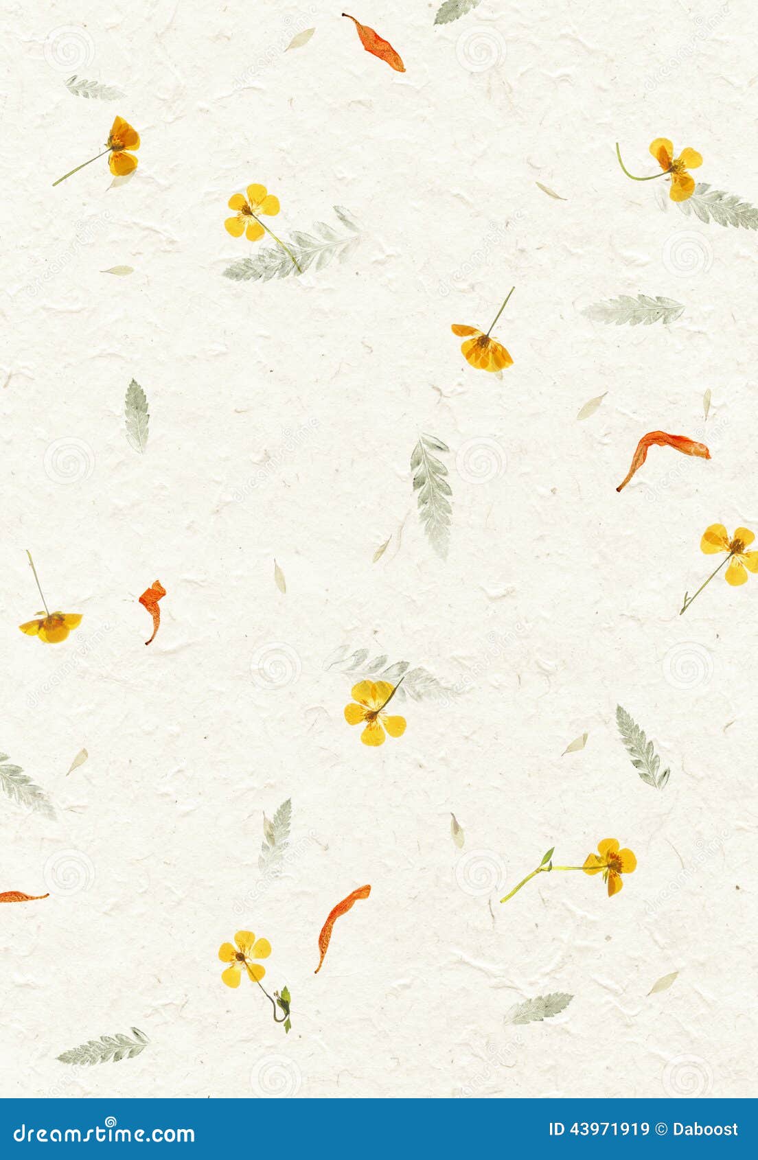 Handmade Flower Petal Paper Texture Stock Photography | CartoonDealer ...