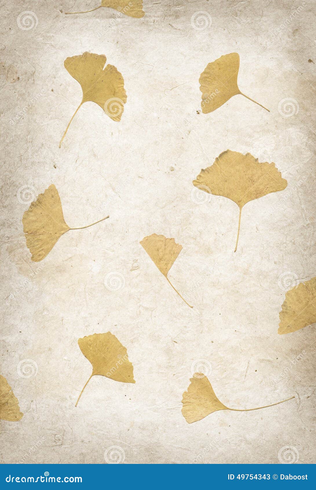 Handmade Flower Petal Paper Texture Royalty-Free Stock Photo ...