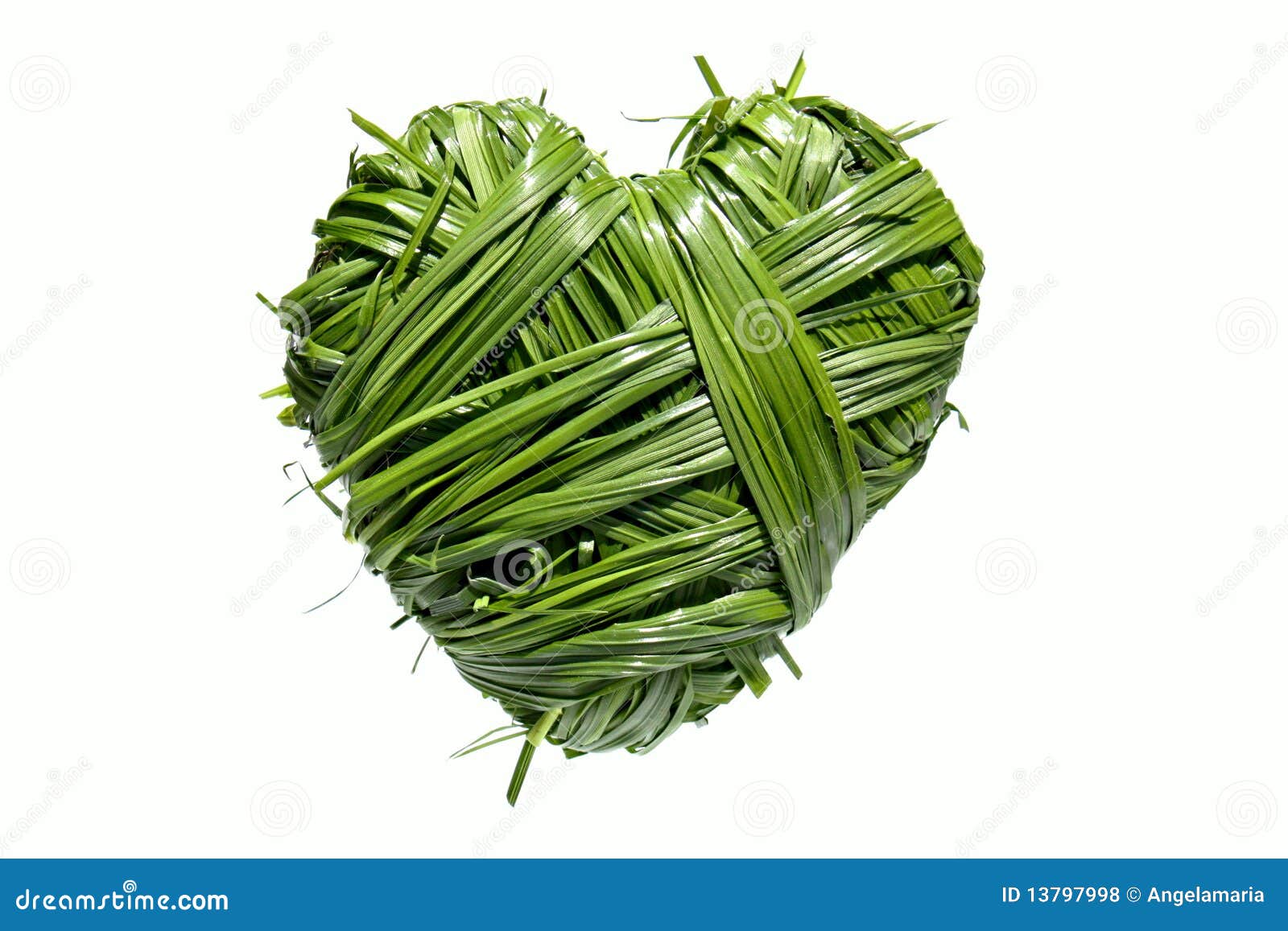 Handmade heart from grass stock photo. Image of abstract - 13797998