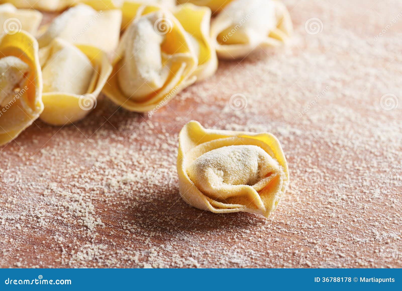 Handmade Italian Tortellini Pasta Stock Photo - Image of pasta, white ...