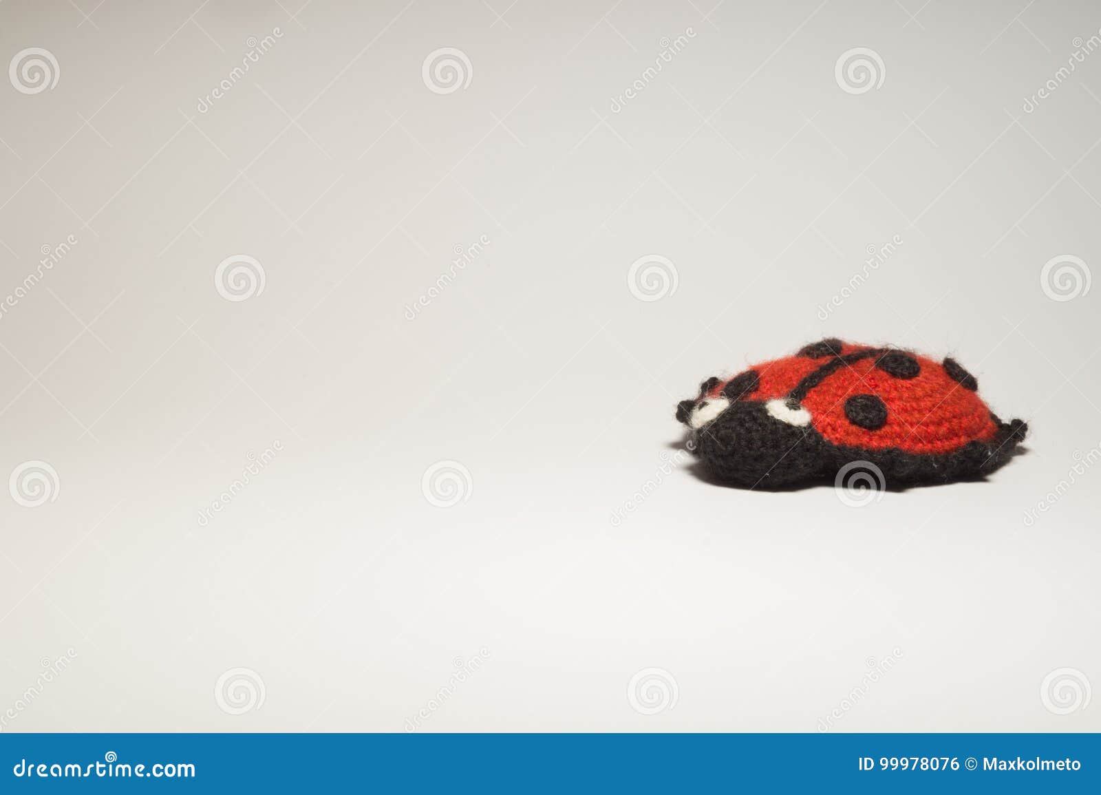 Handmade Knitting Wool Toy Ladybug Isolated on White Background Stock ...
