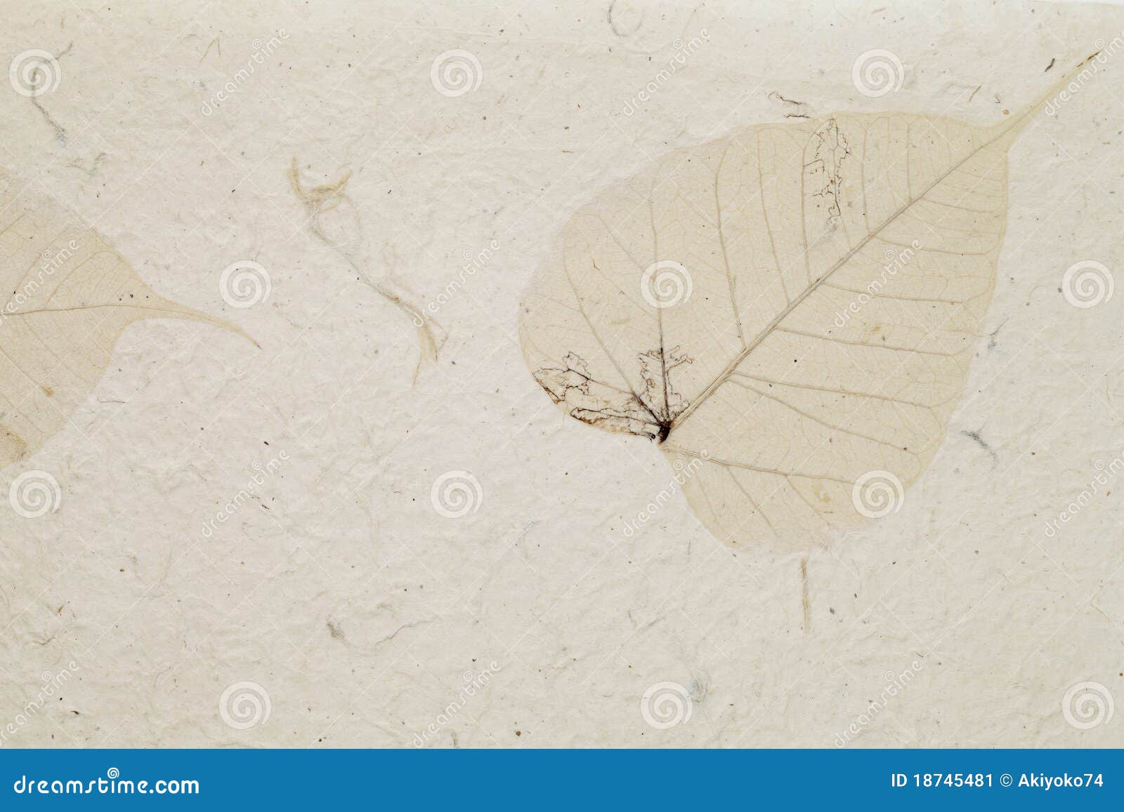 Handmade leaf paper stock image. Image of paper, dirty - 18745481