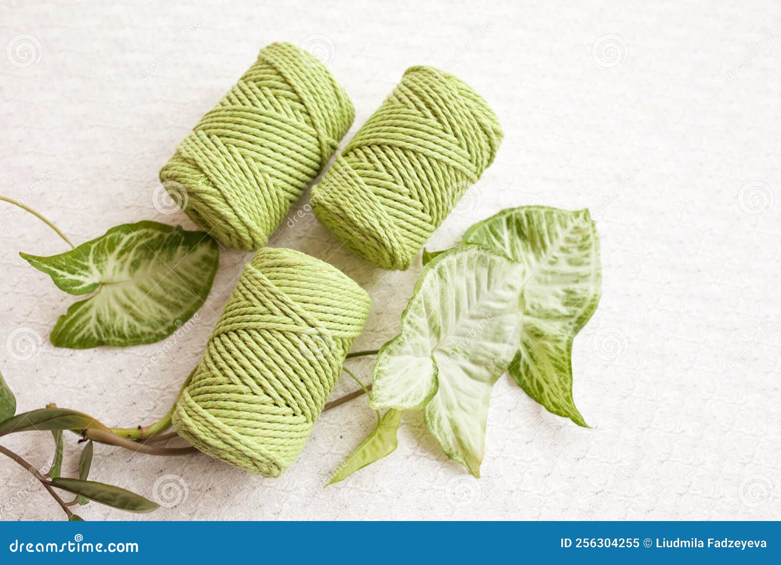 Handmade Macrame Braiding and Cotton Threads on White Textile ...