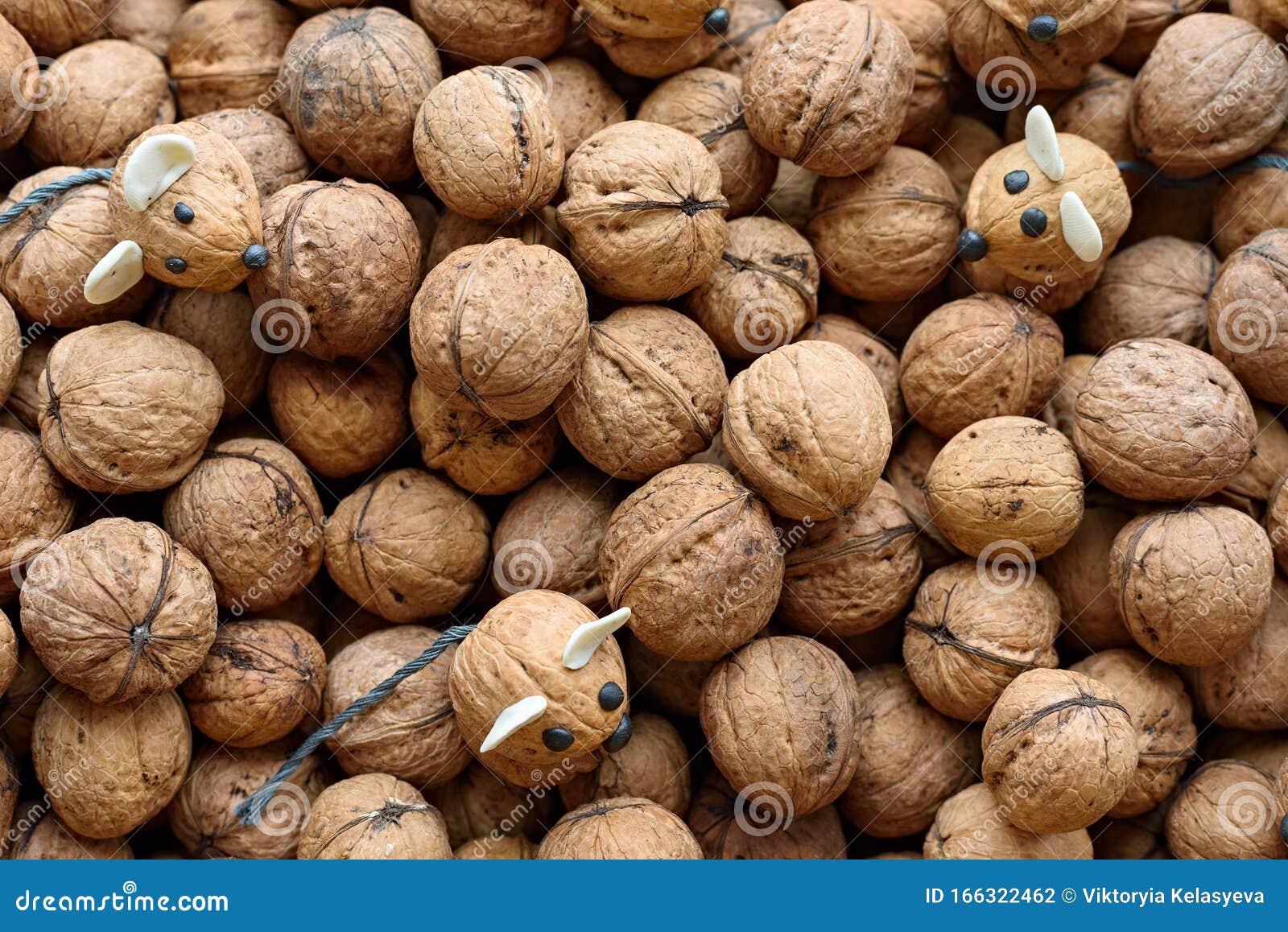 Handmade Mice Made from Walnut Shells among Many Nuts Stock Photo ...