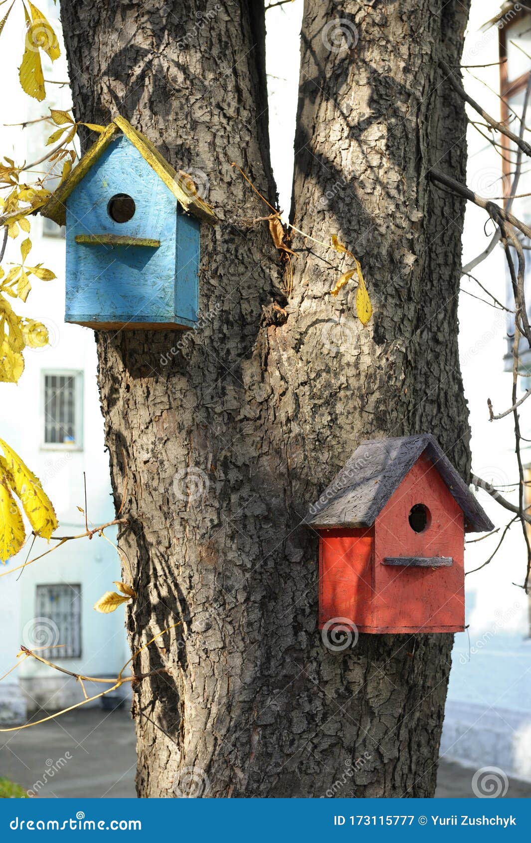 Handmade Nesting Boxes Hanging on a Tree Stock Image - Image of ...