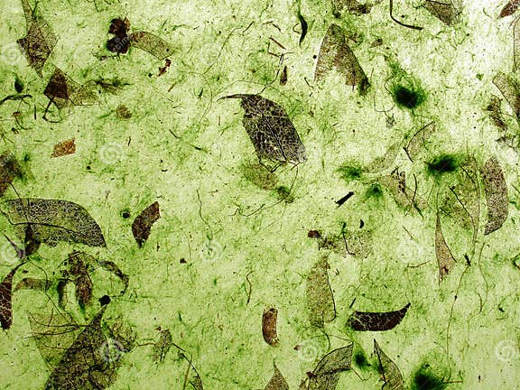 Handmade paper green stock image. Image of cute, abstract - 2507085