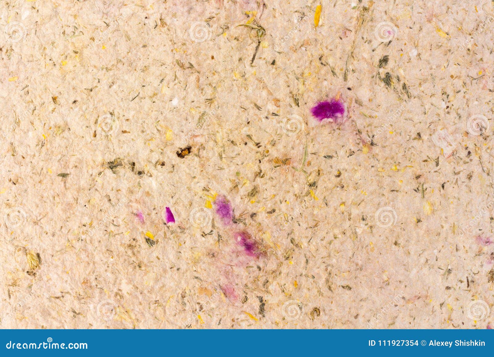 Handmade Paper with Herbal and Floral Inclusions Stock Photo - Image of ...