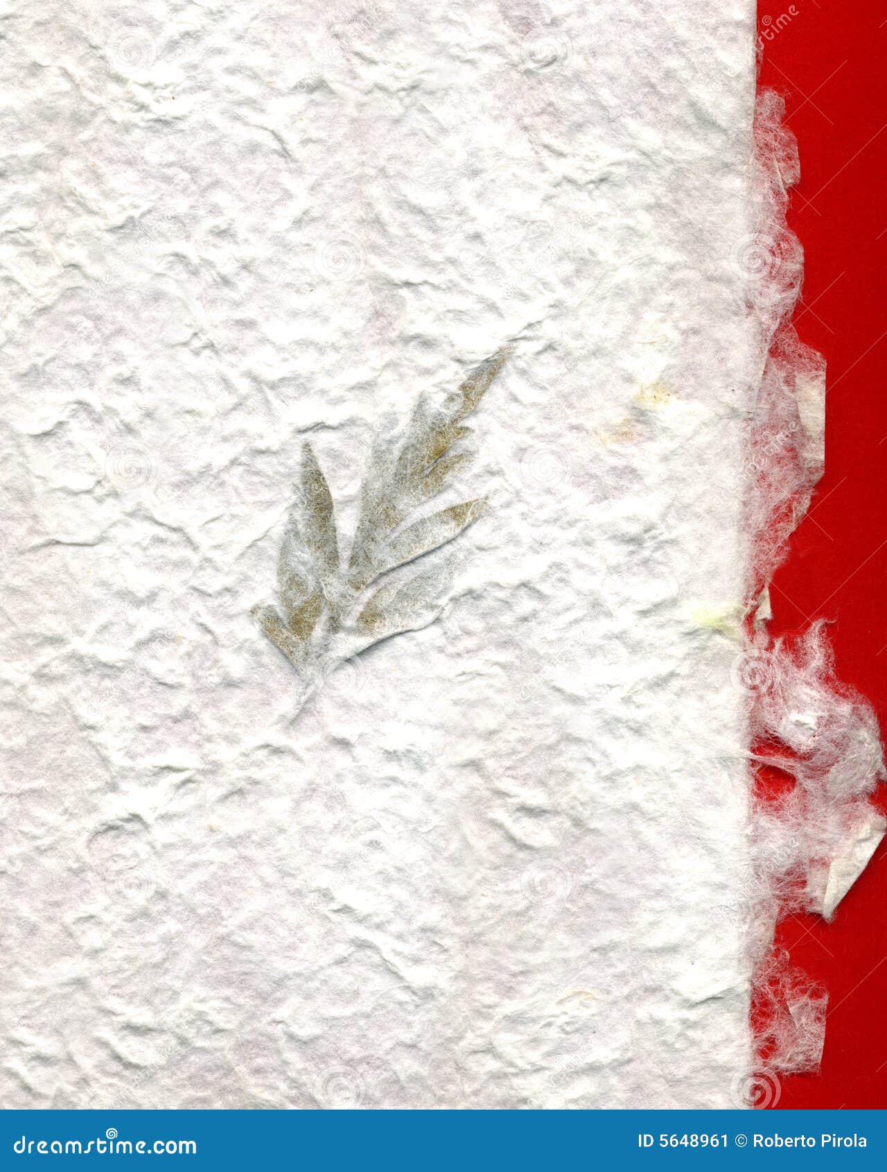 Handmade paper and leaf stock image. Image of nature, detail - 5648961