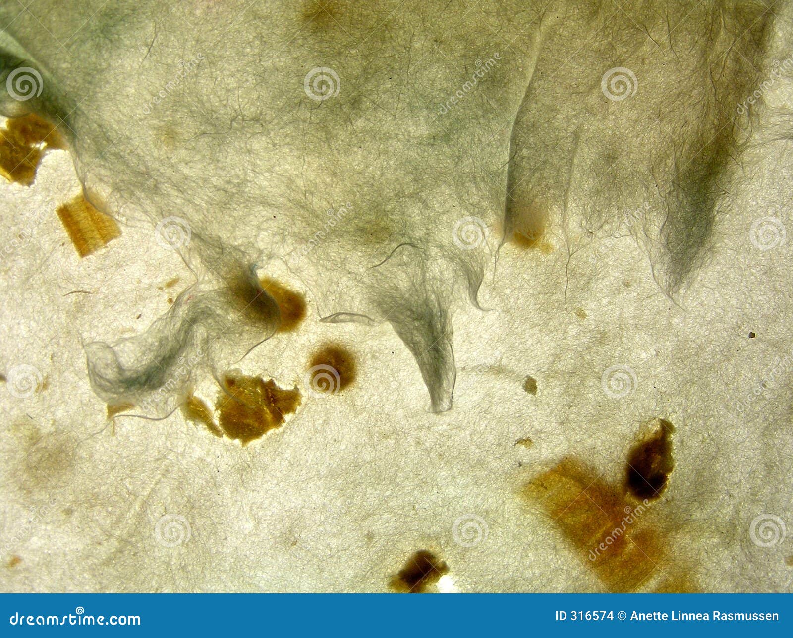 Handmade Paper with Nature Materials Stock Photo - Image of autumn ...