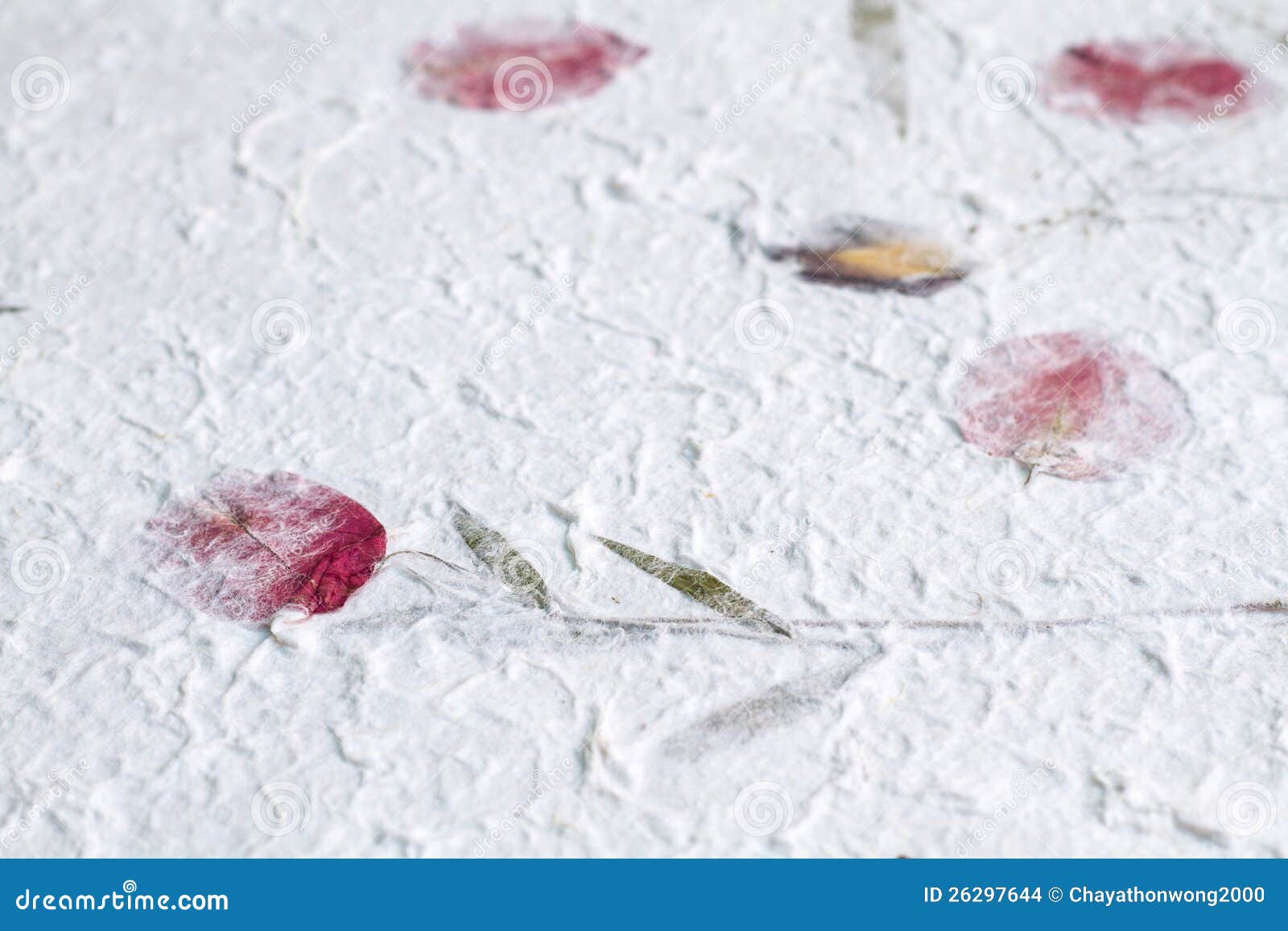 Handmade paper Sa paper stock photo. Image of leaf, gray - 26297644