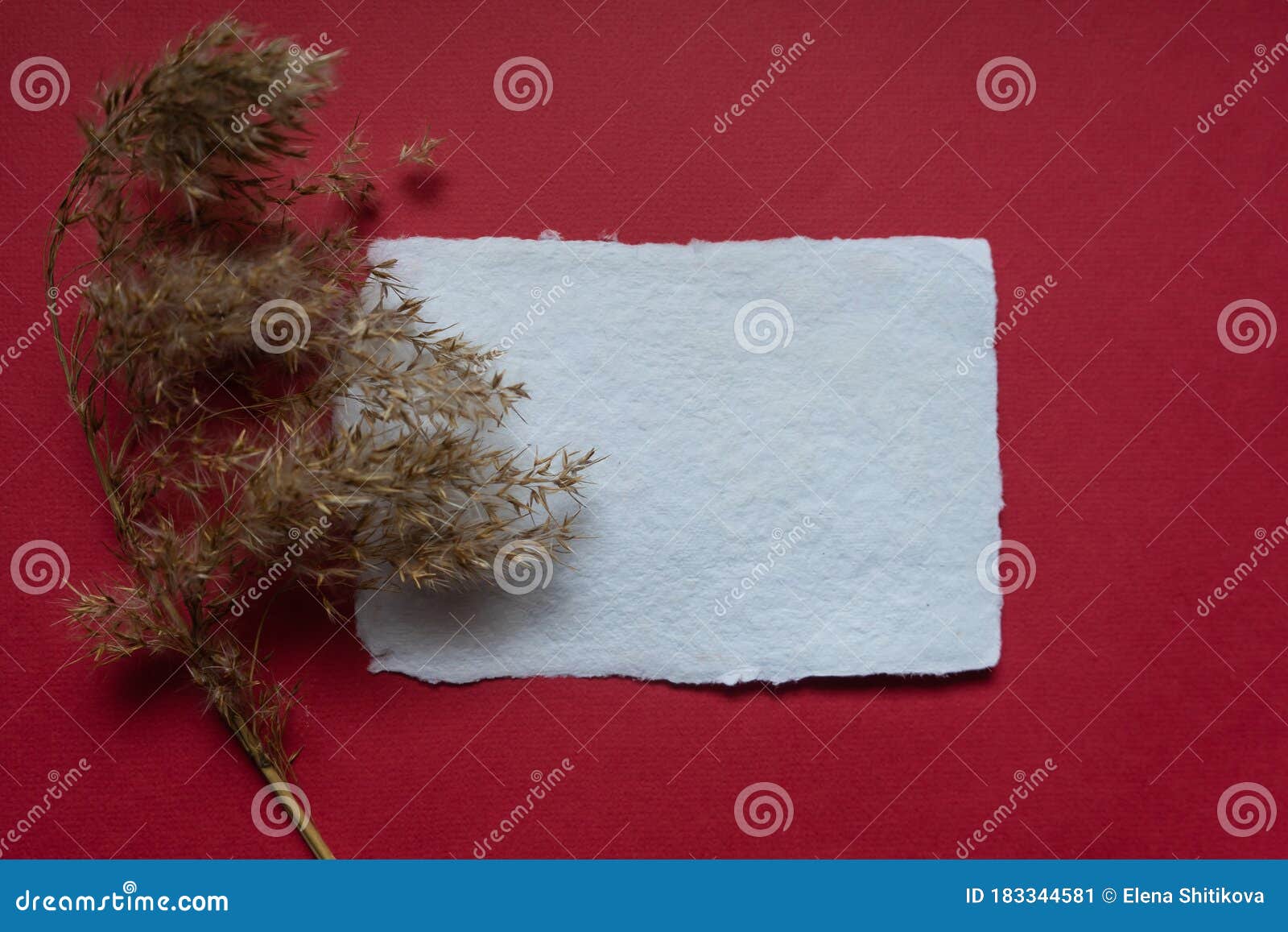 Handmade Paper Scroll and a Branch of Dry Field Grass on a Red ...