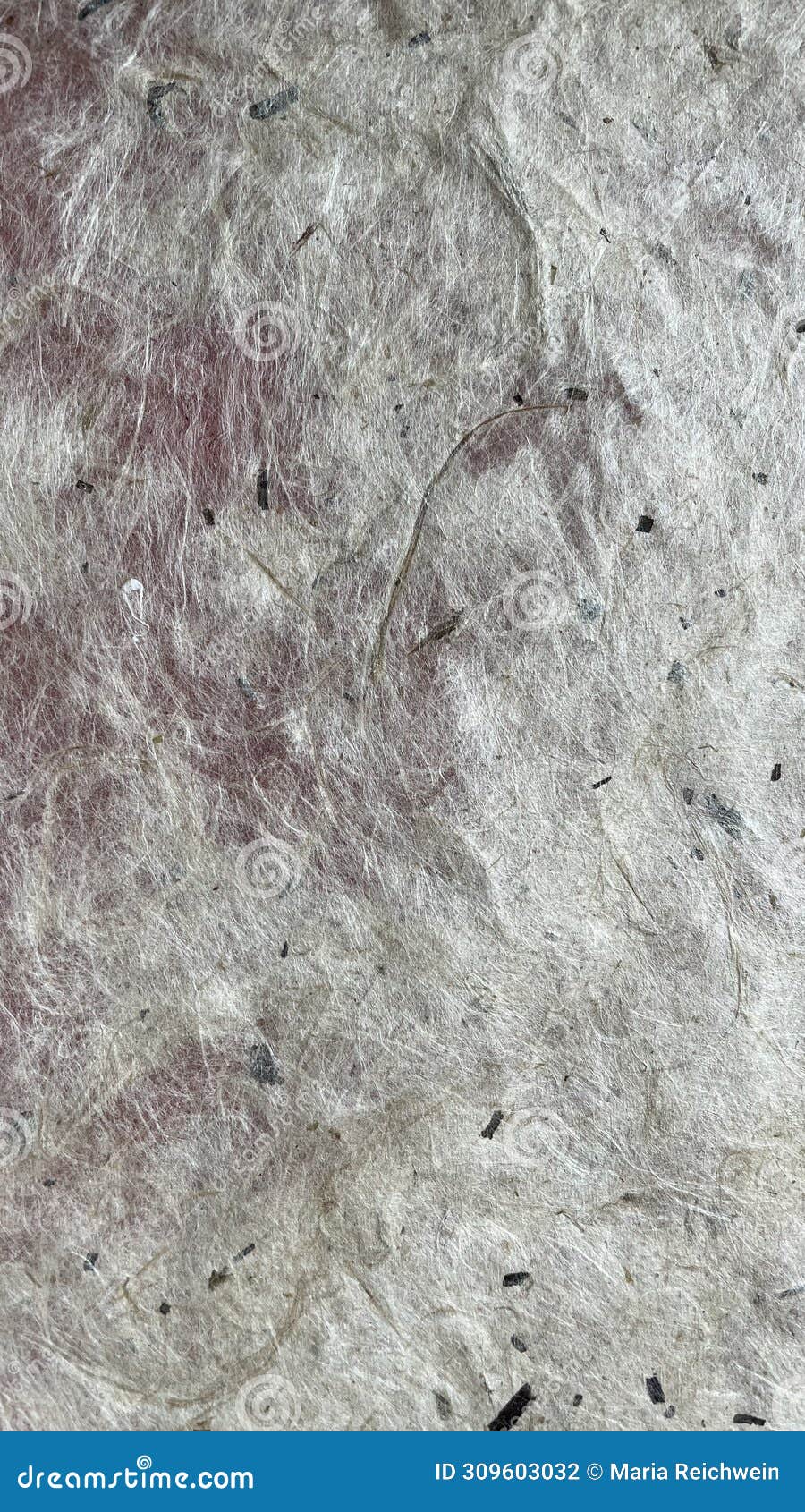 Handmade Paper Structure of Fibers and Chips of Bask Mulberry Stock ...