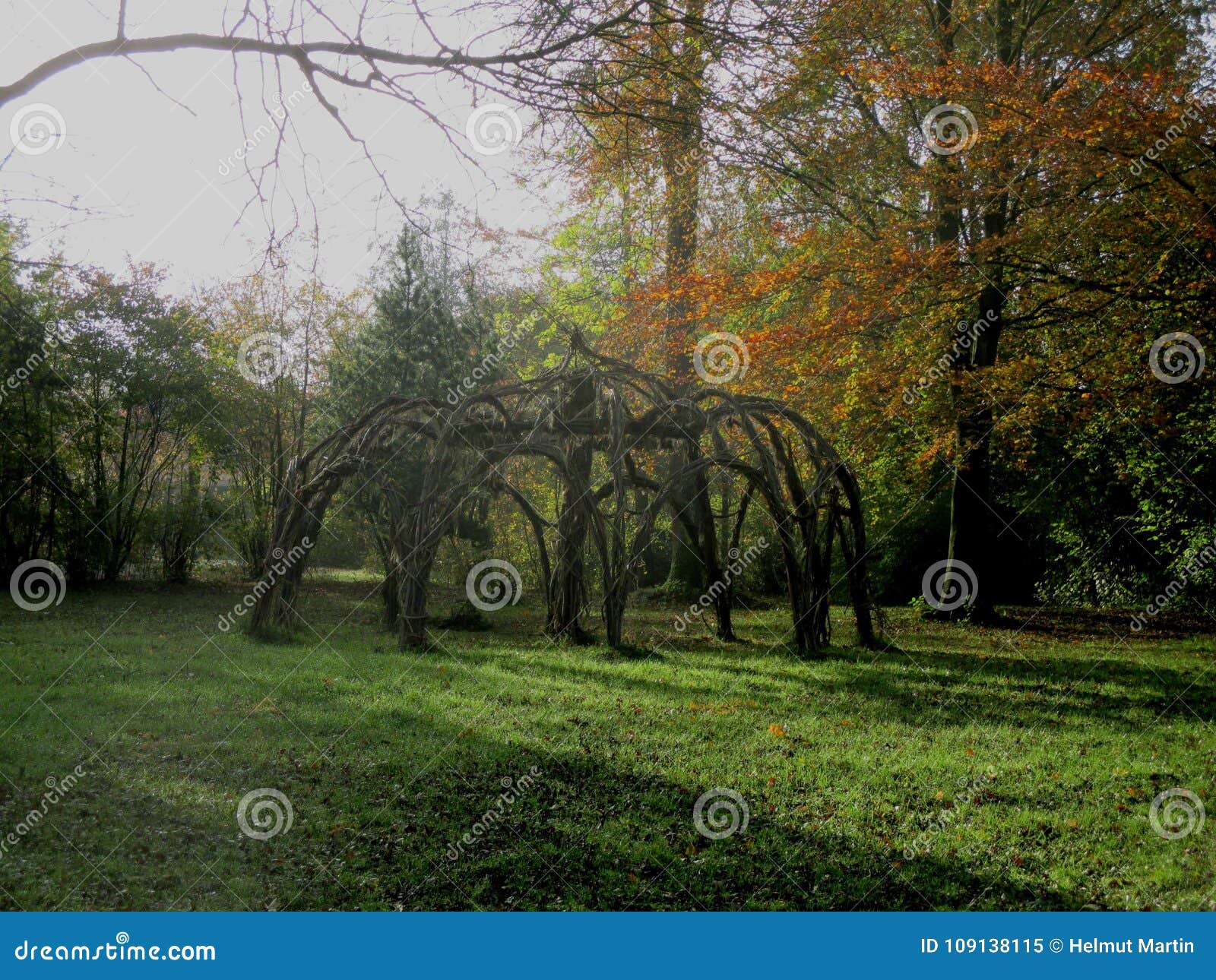 A Braided Pavilon Handmade from Willow Branches in a Park Stock Image ...