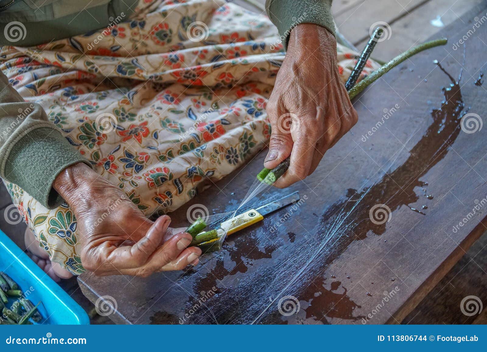 Handmade Producing Threads from Lotus Stems in Myanmar Burma Stock ...