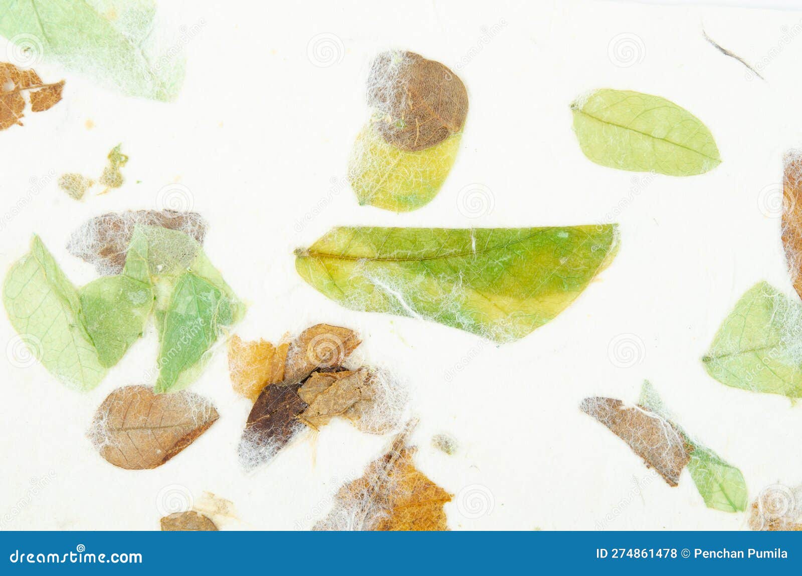 The Handmade Recycled Leaf Paper Background Stock Photo - Image of leaf ...