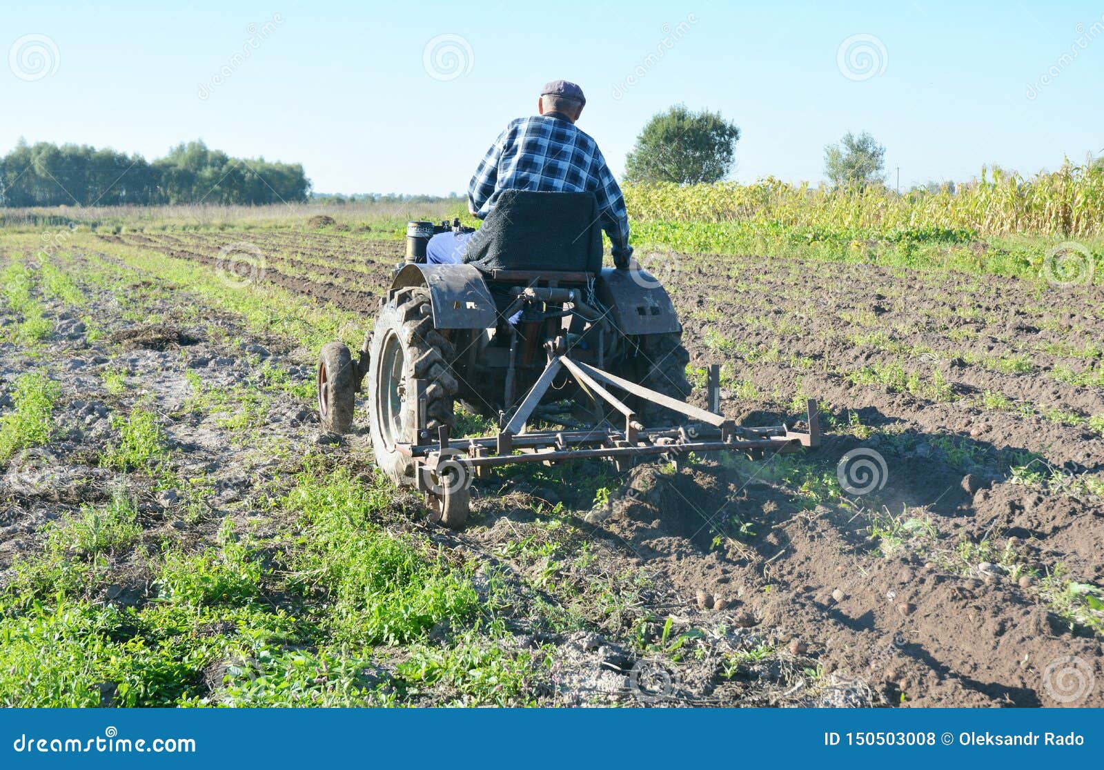 Handmade Small Tractor Plowing Field. Old Tractor Plowing on the ...