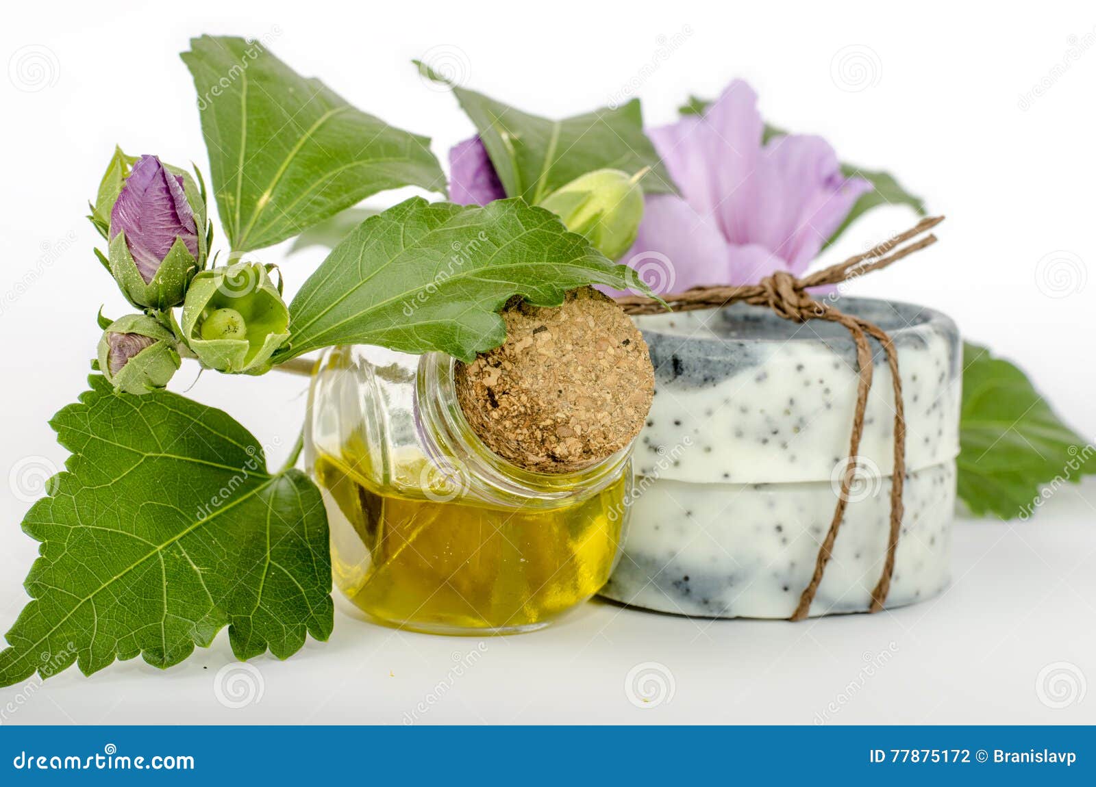 Handmade soaps isolated stock photo. Image of cereals - 77875172