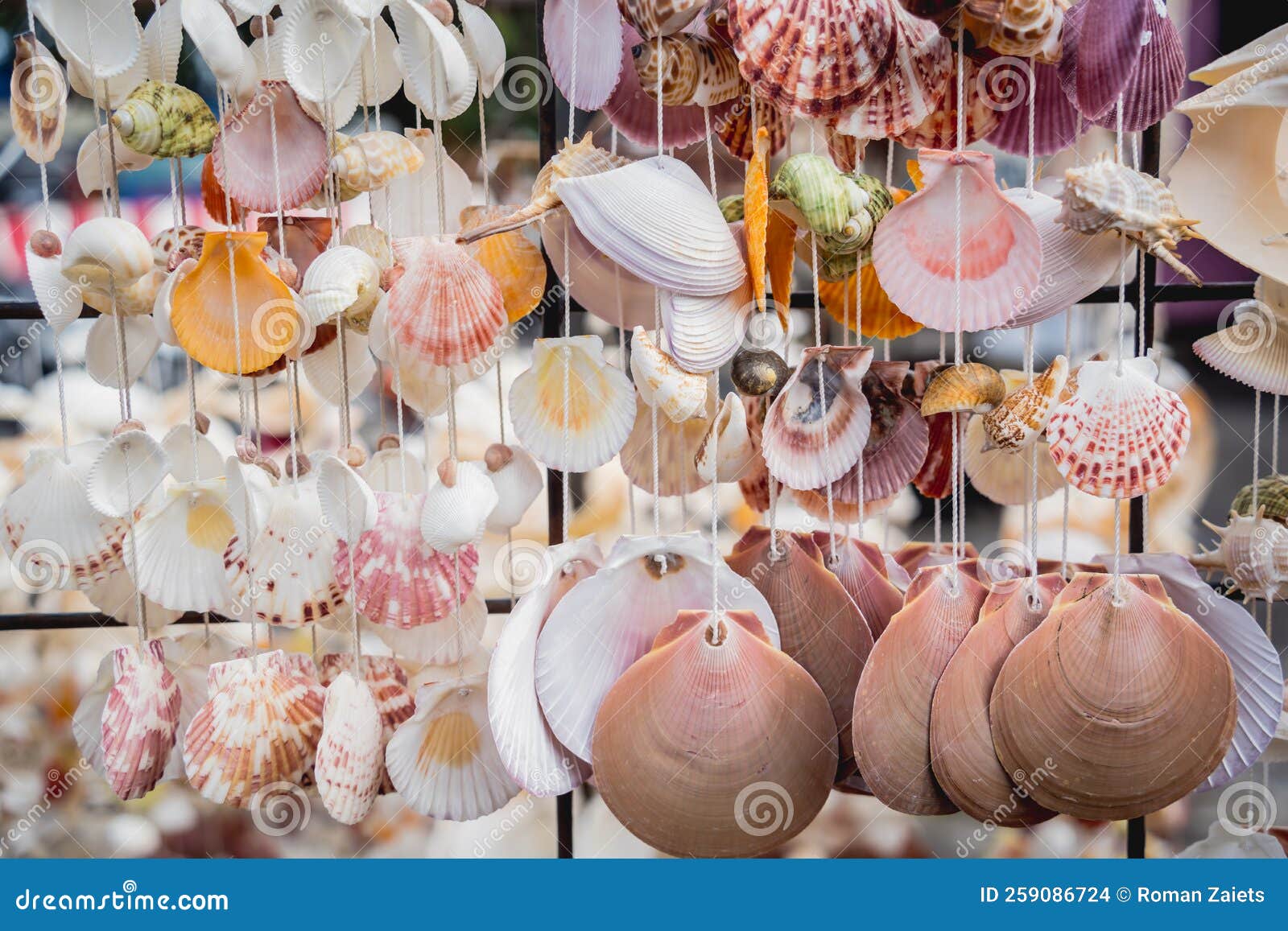 Handmade Souvenir Decorated with Different Sea Shells Stock Photo ...