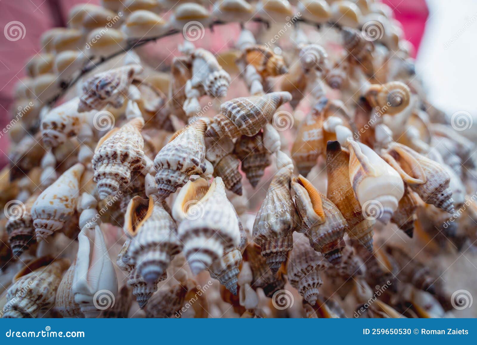 Handmade Souvenir Decorated with Different Sea Shells Stock Photo ...
