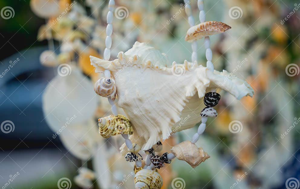 Handmade Souvenir Decorated with Different Sea Shells Stock Image ...
