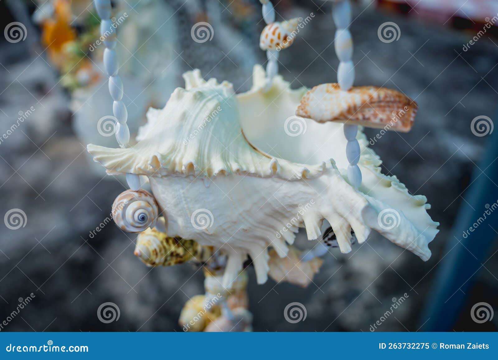 Handmade Souvenir Decorated with Different Sea Shells Stock Image ...
