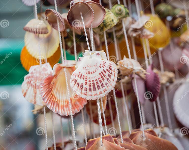 Handmade Souvenir Decorated with Different Sea Shells Stock Image ...