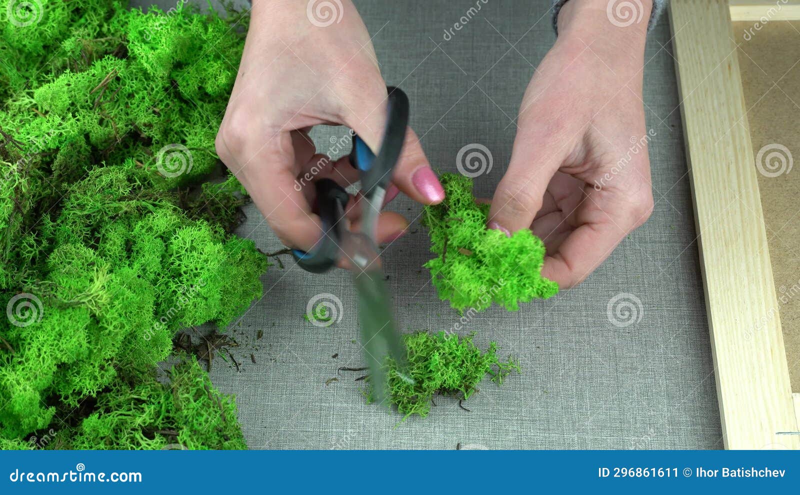 Handmade with Stabilized Moss. Process Working with Reindeer Lichen Stock Video - Video of green ...