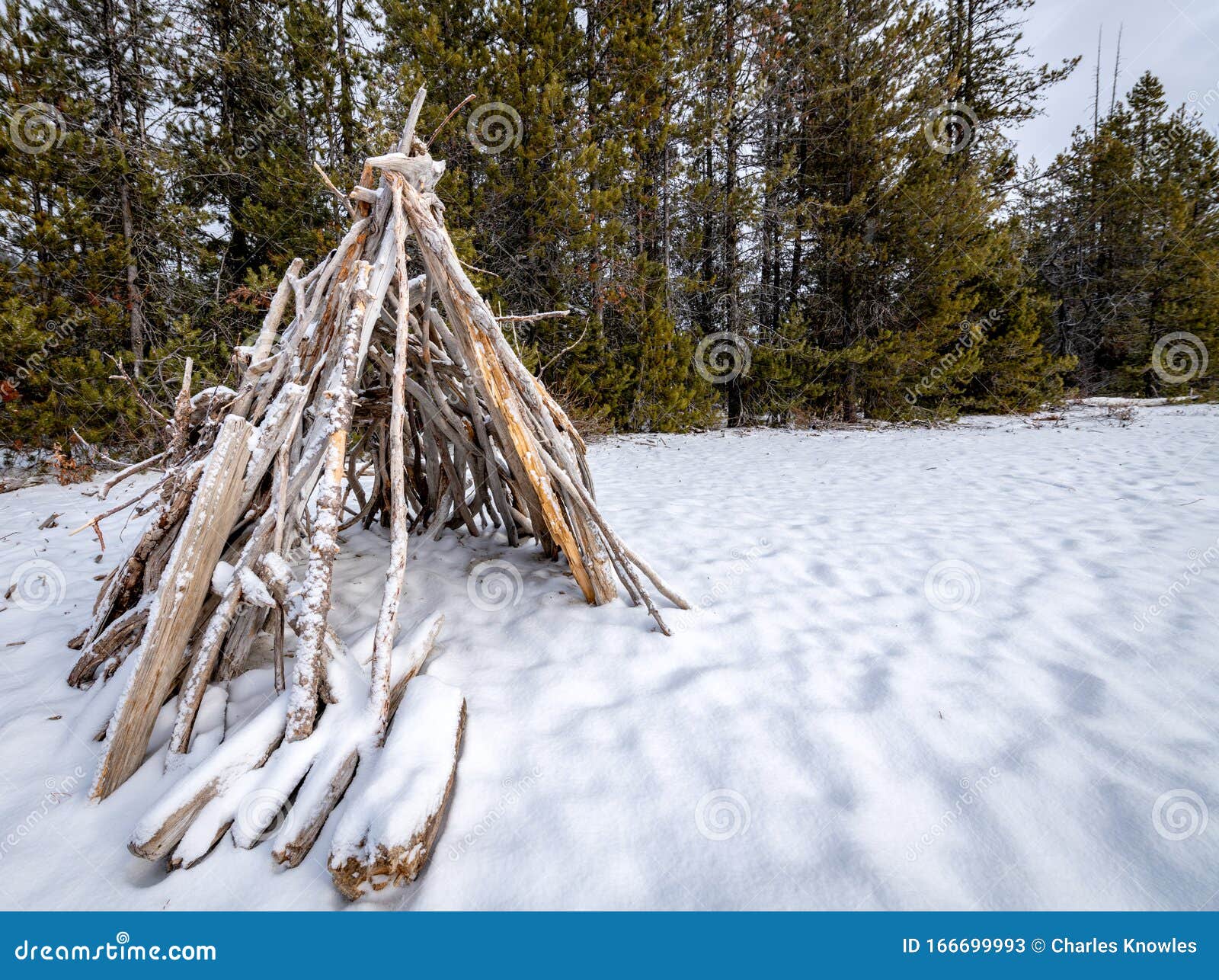 Handmade Tee Pee in Winter with Snow and a Dark Forest Stock Image ...