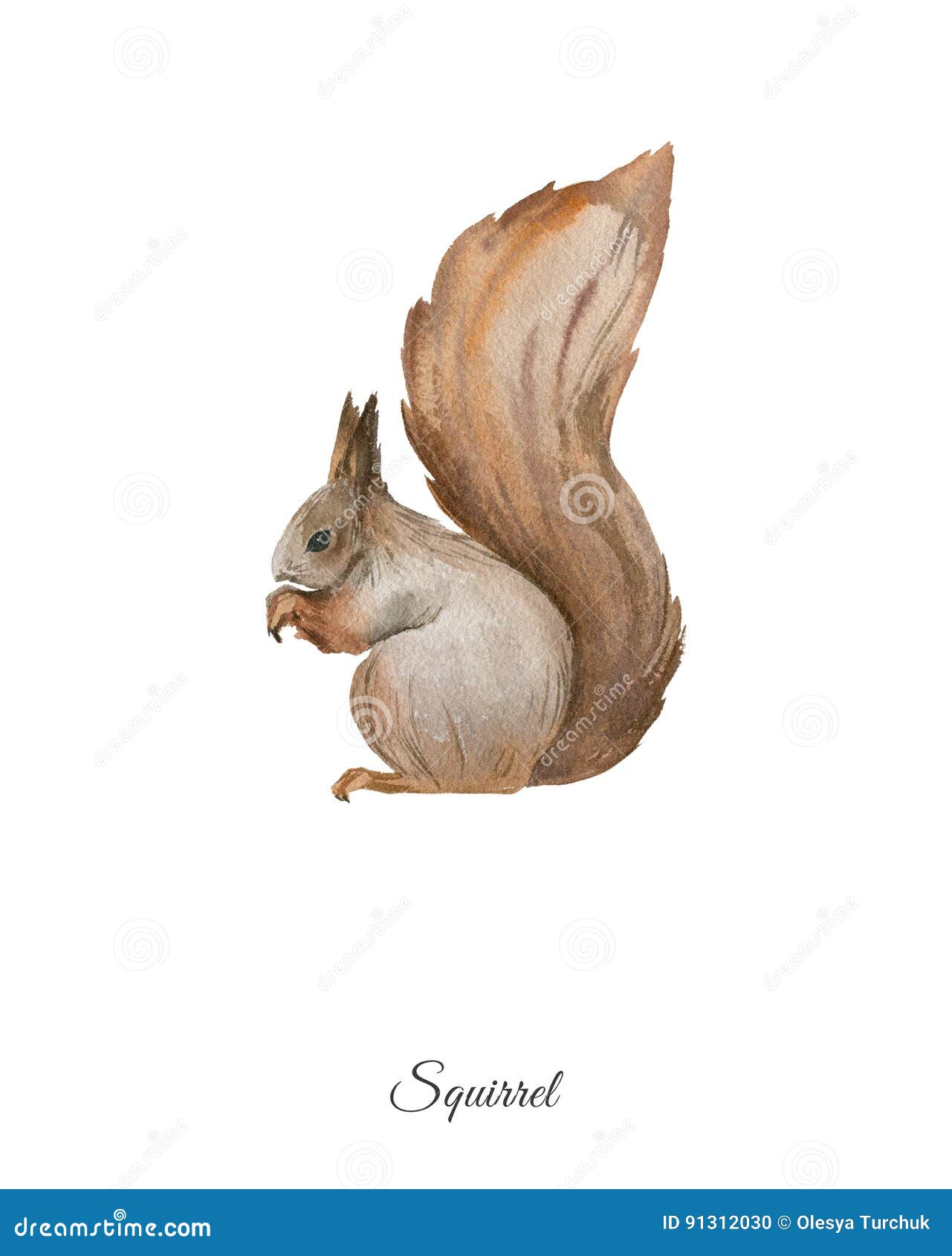 Scared Squirrel Royalty-Free Cartoon | CartoonDealer.com #60817313