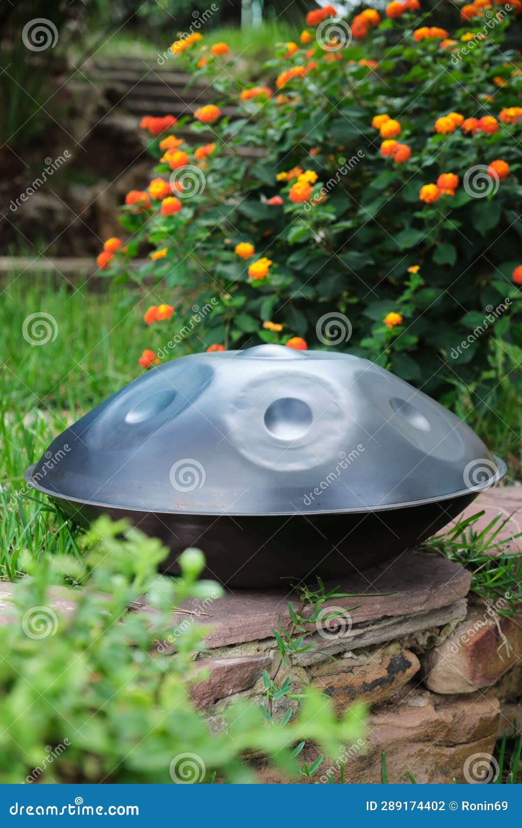 Handpan or Hang in the Garden Stock Photo - Image of park, summer ...