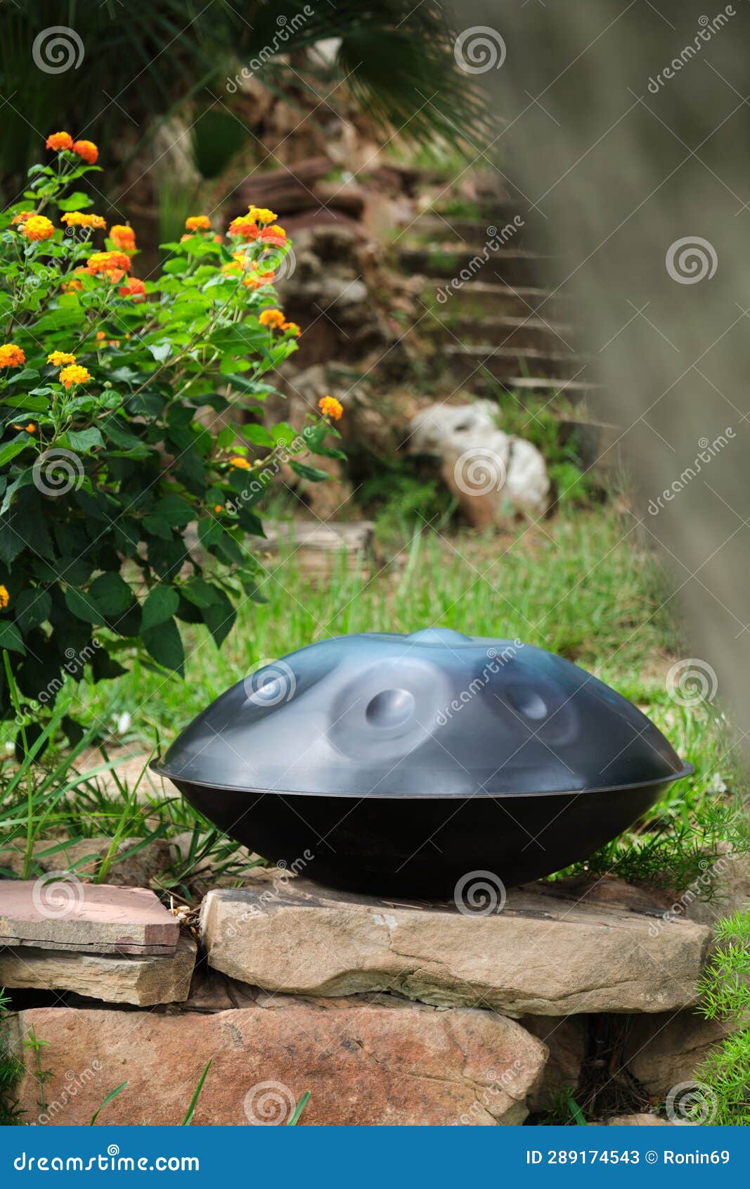 Handpan or Hang in the Garden Stock Image - Image of performance, park ...