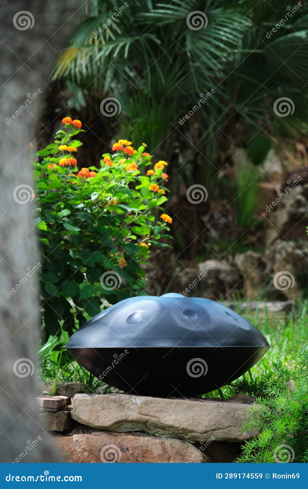 Handpan or Hang in the Garden Stock Image - Image of entertainment ...