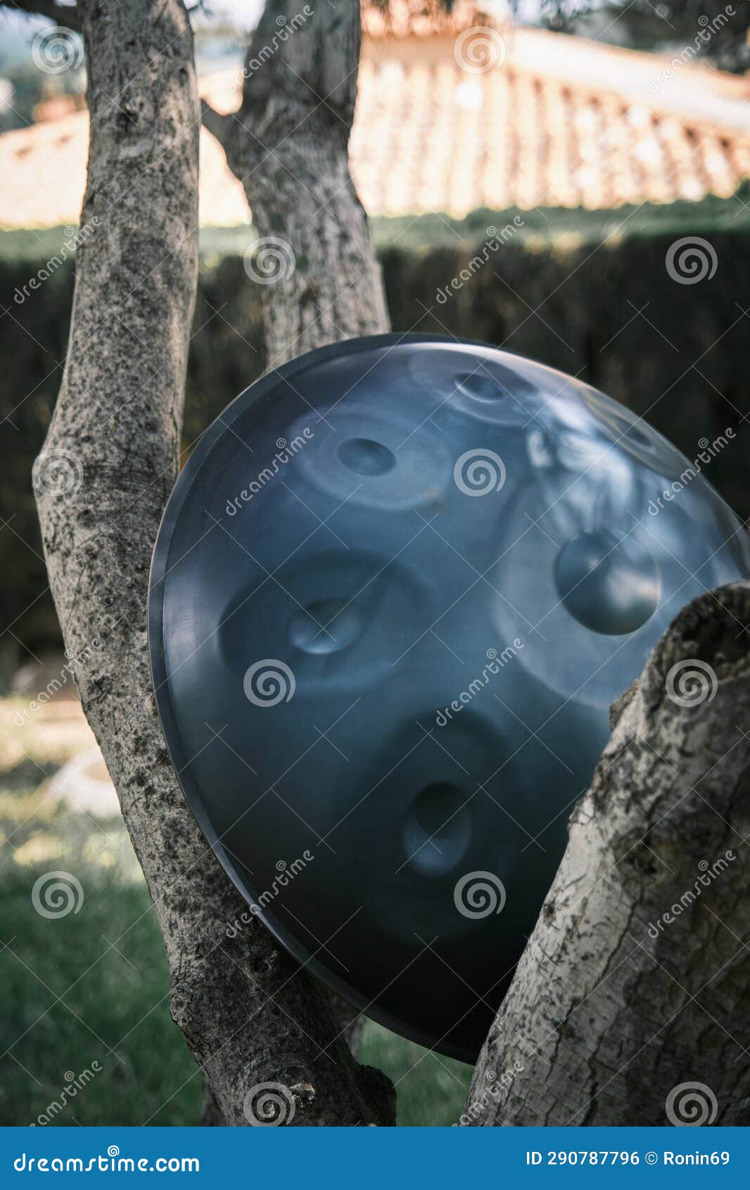 The handpan by the tree stock photo. Image of equipment - 290787796