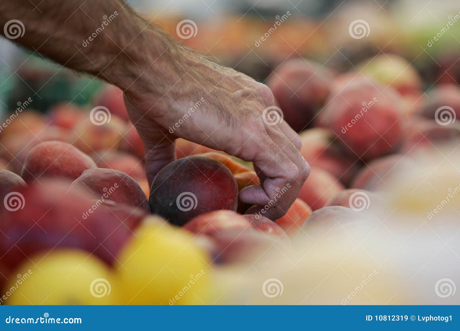 Handpicked stock image. Image of cartons, healthy, yummy - 10812319