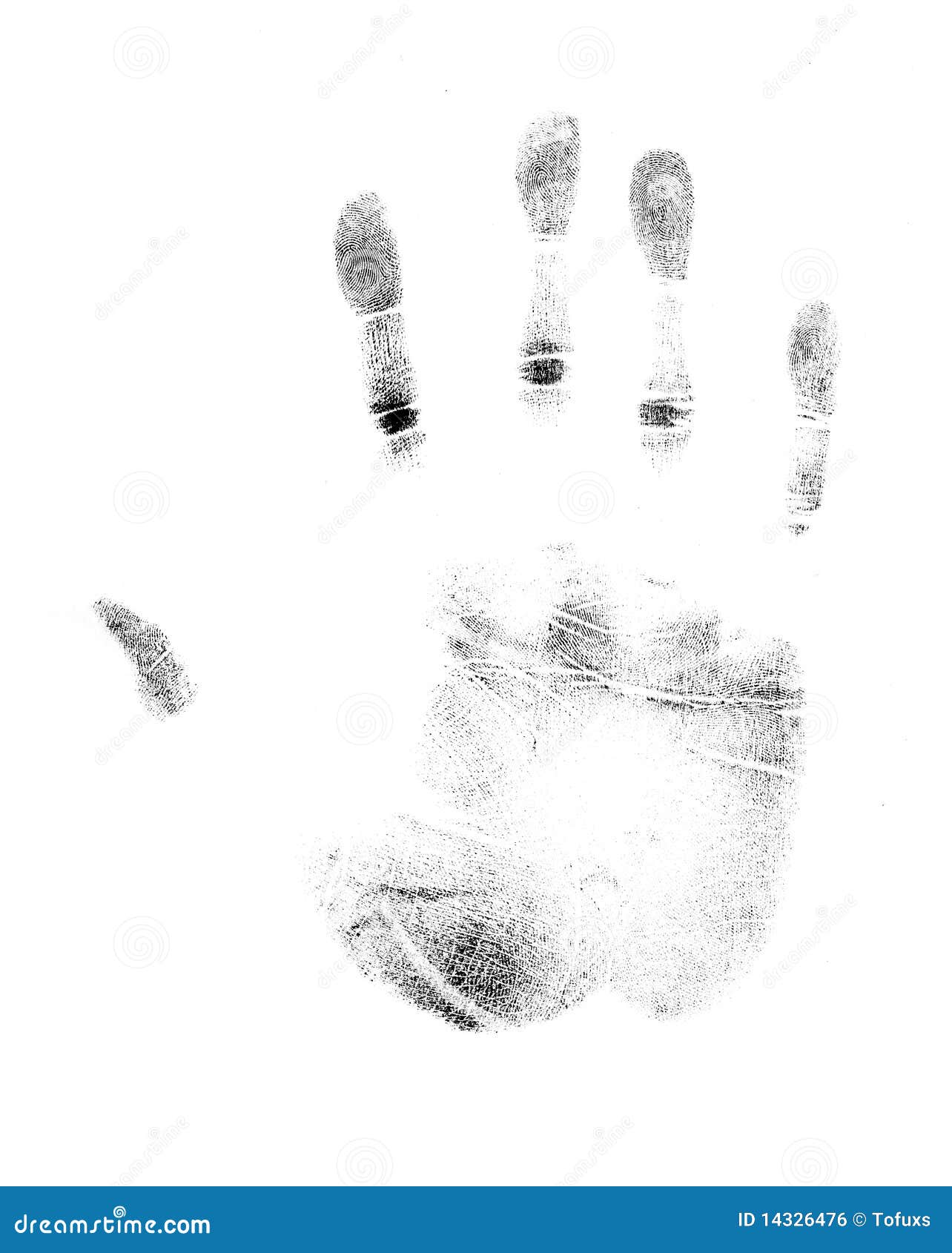 124 Forensic Handprint Photos - Free & Royalty-Free Stock Photos from ...