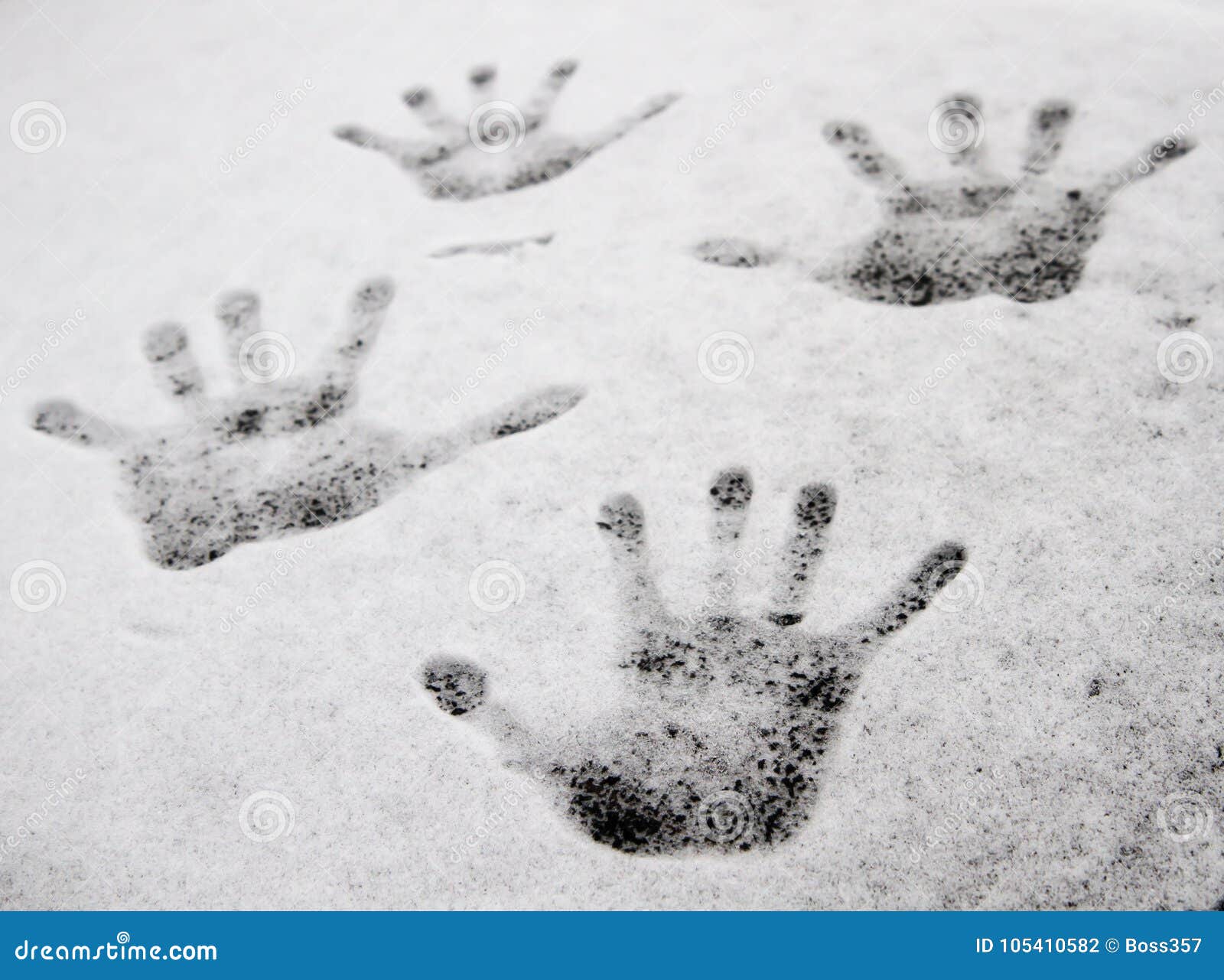 Handprint of the Four Hands in the Snow a Different Size, a White Snow ...