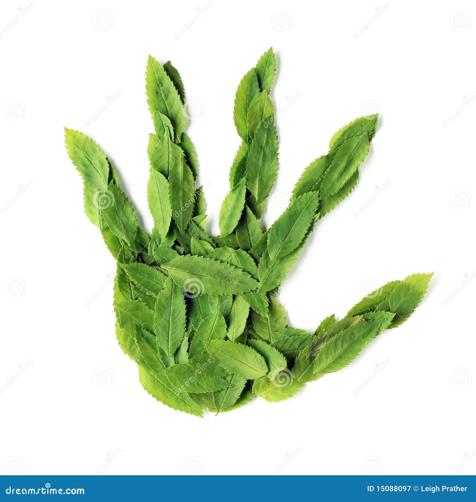 Handprint made of leaves stock image. Image of leaves - 15088097