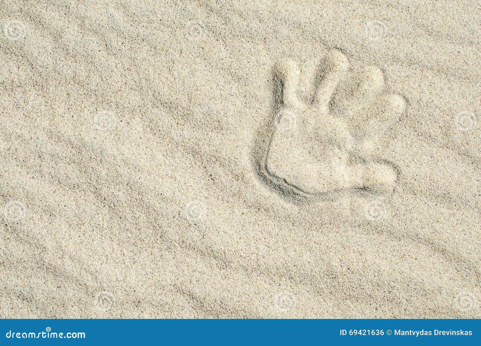 Handprint on sand stock photo. Image of wild, egypt, fresh - 69421636