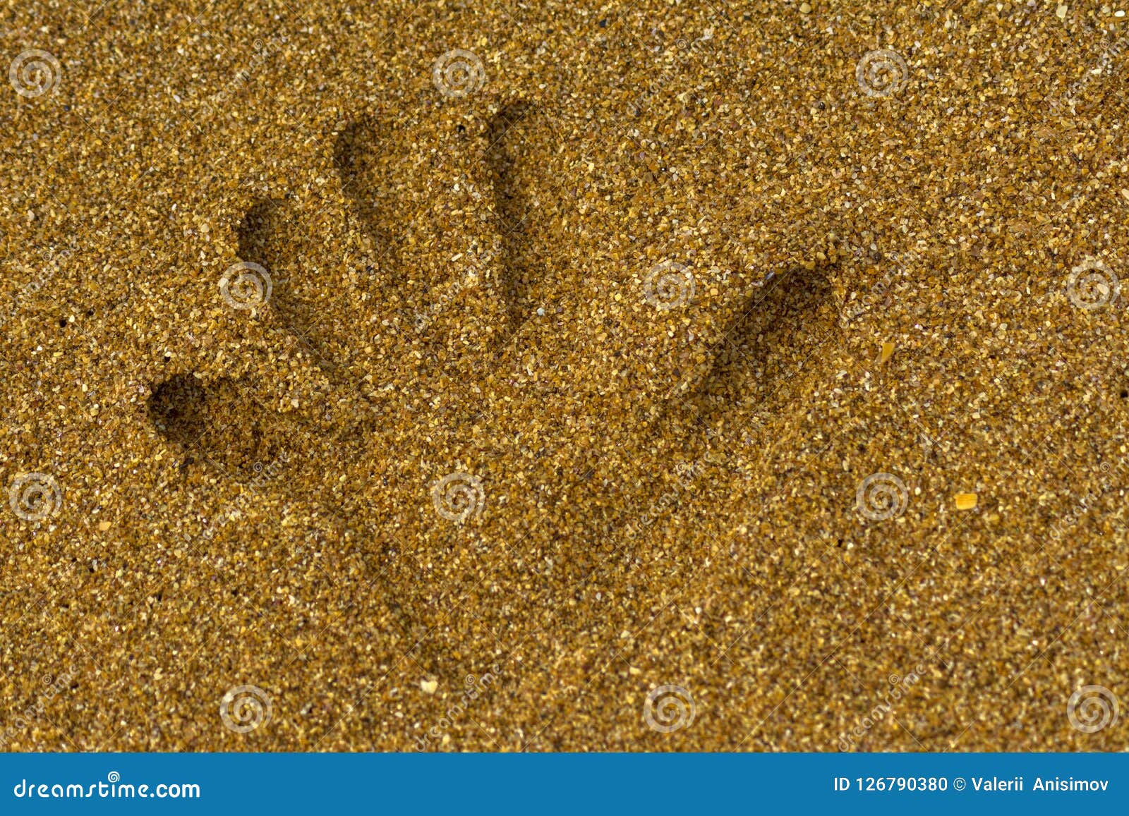 Handprint Sur Le Sable Sur Le Bord De La Mer Photo stock - Image du ...