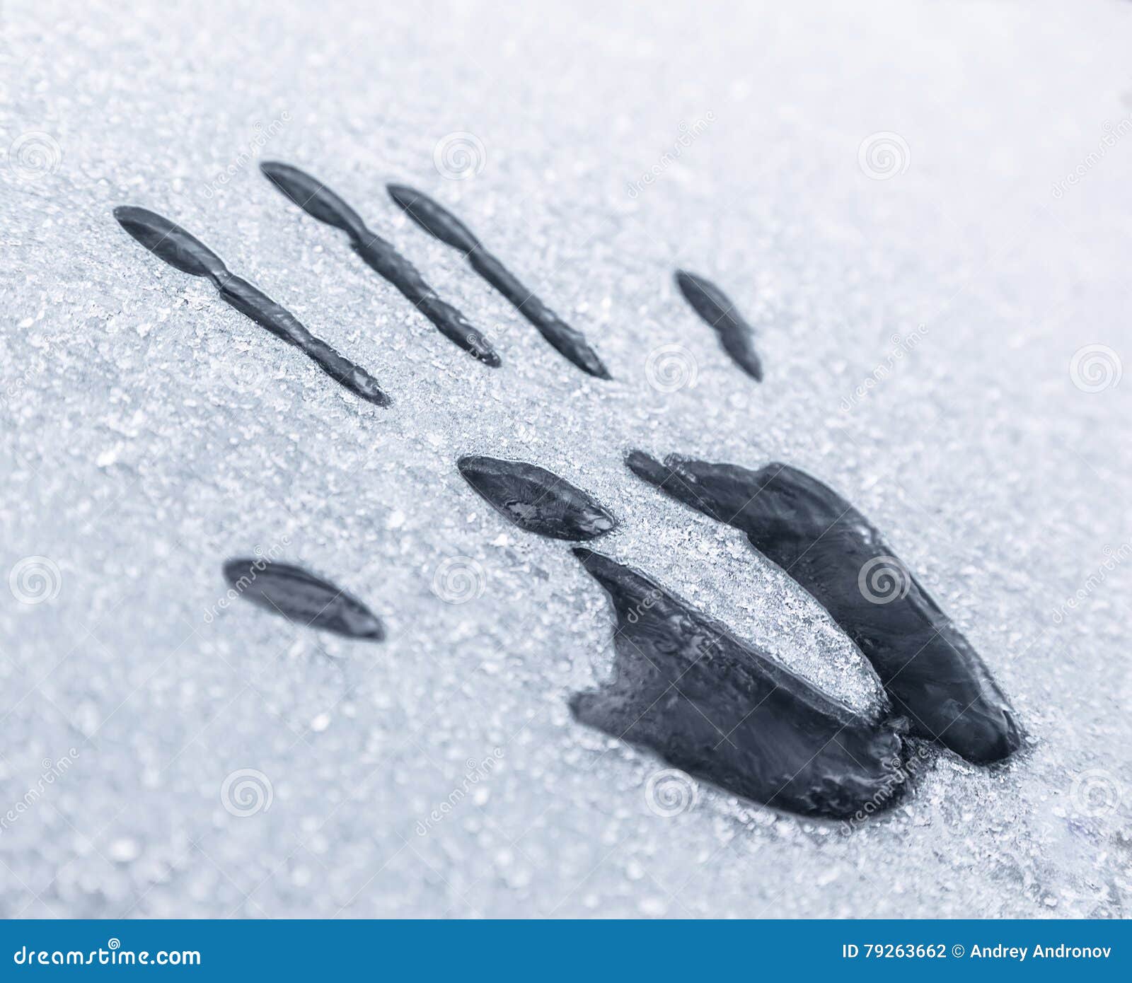 Handprint on the window stock photo. Image of abstract - 79263662