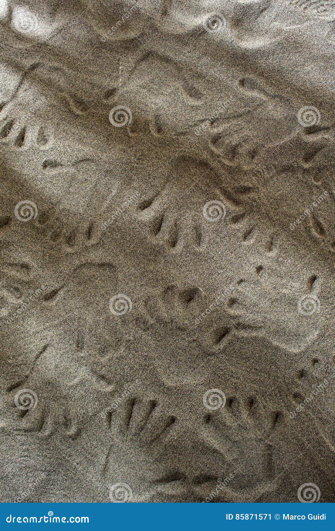 Handprints in the Sand stock image. Image of handprints - 85871571