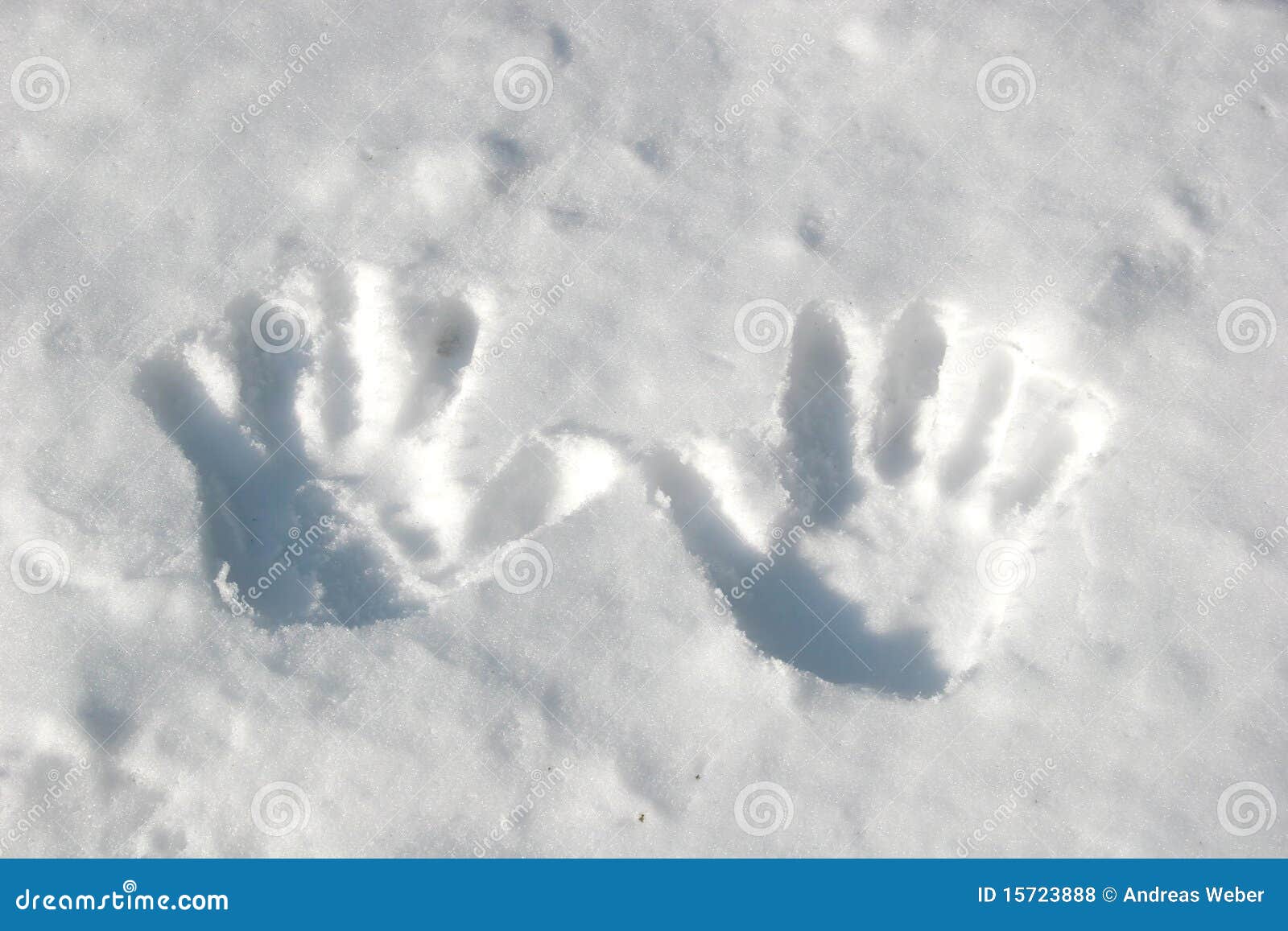 Handprints in the snow stock photo. Image of fingers - 15723888