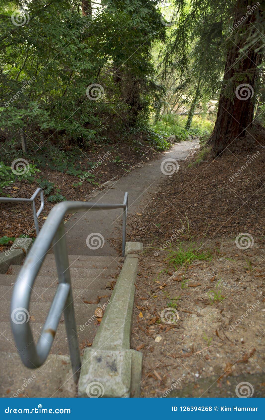 Handrail Guides Stock Photos - Free & Royalty-Free Stock Photos from ...