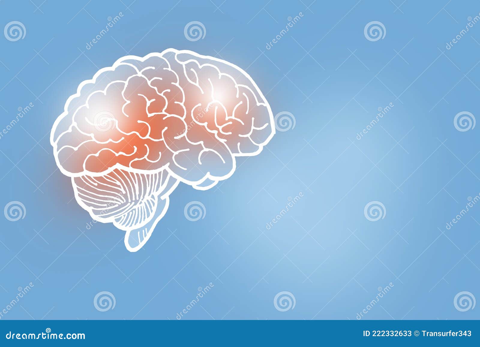 Handrawn Illustration of Human Brain on Light Blue Background. Stock ...
